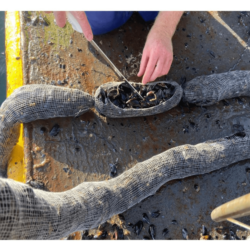 Cordage - Ropes | Quality Equipment Limited